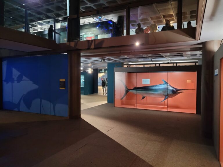 Iziko: South African Museum - Museum Explorer SA