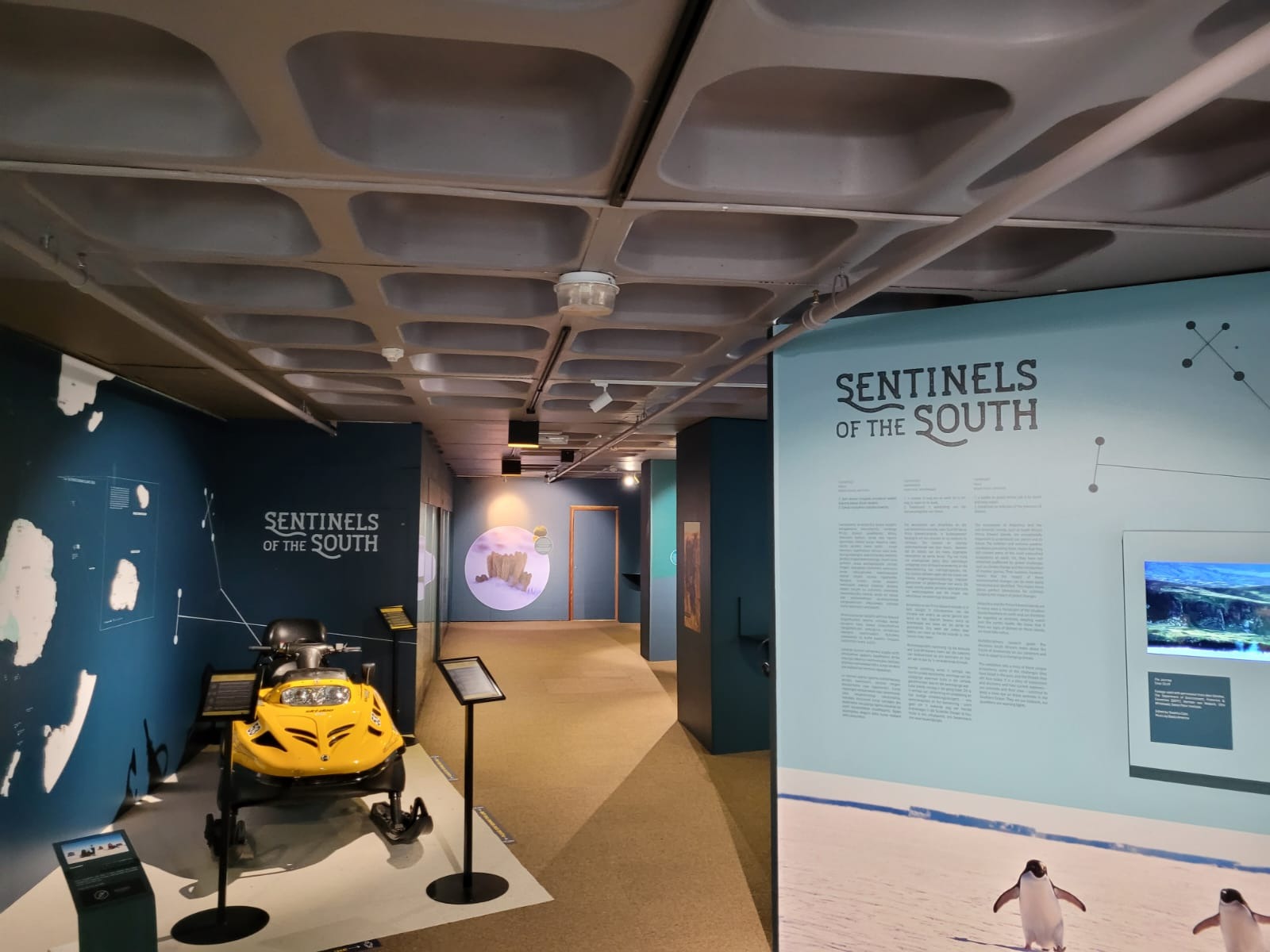 Iziko: South African Museum - Museum Explorer SA