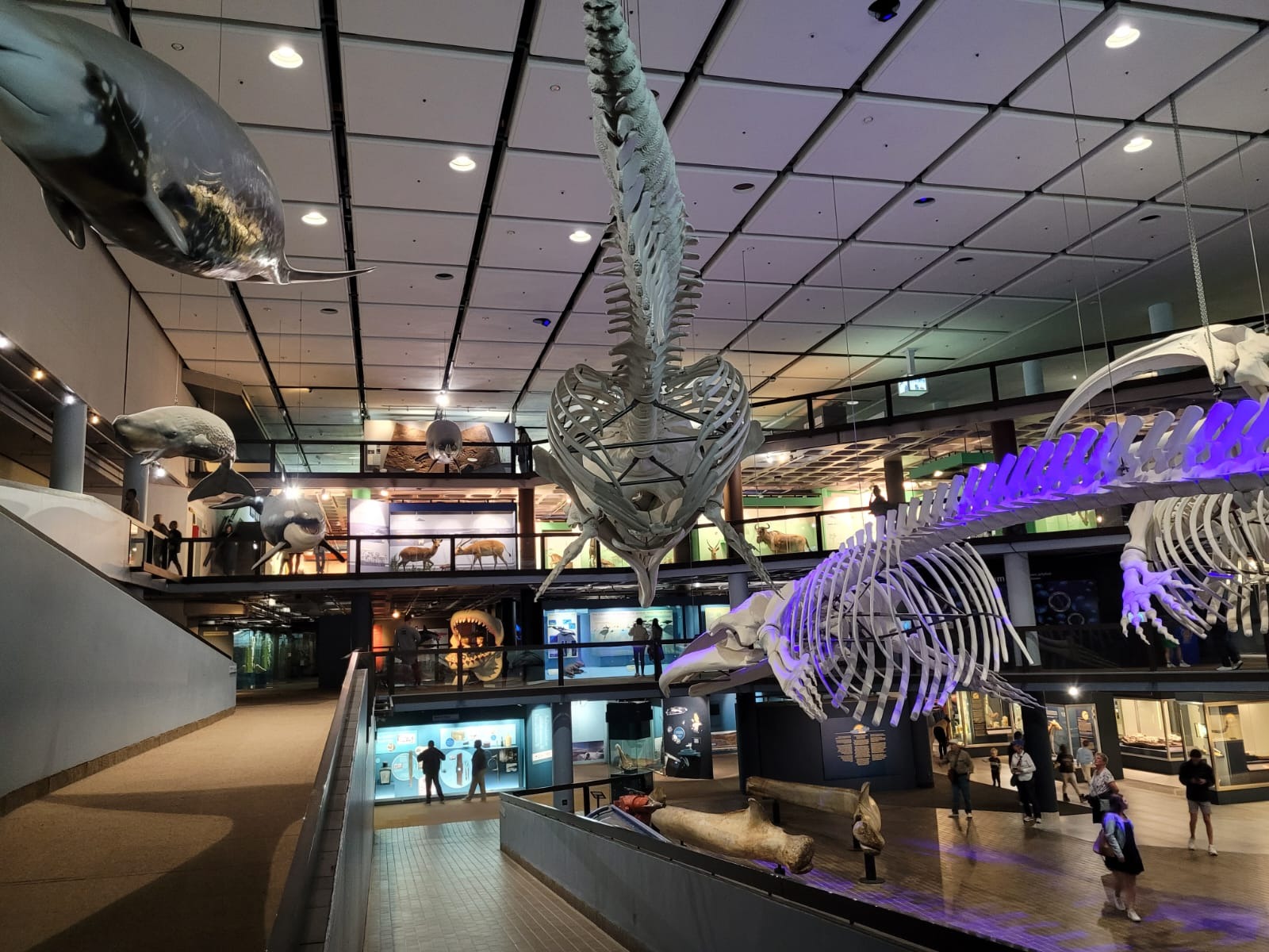 Home - Museum Explorer SA