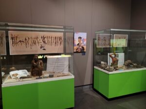 Iziko: South African Museum - Museum Explorer SA