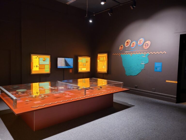 Iziko: South African Museum - Museum Explorer SA