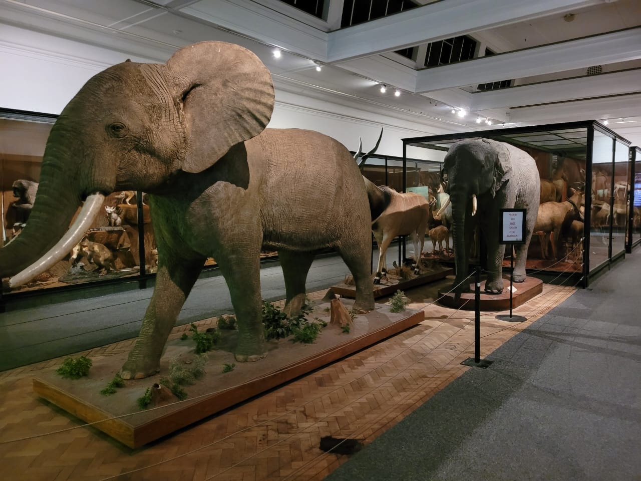 Discover South Africa's Natural History: 13 Museums to Explore (updated ...
