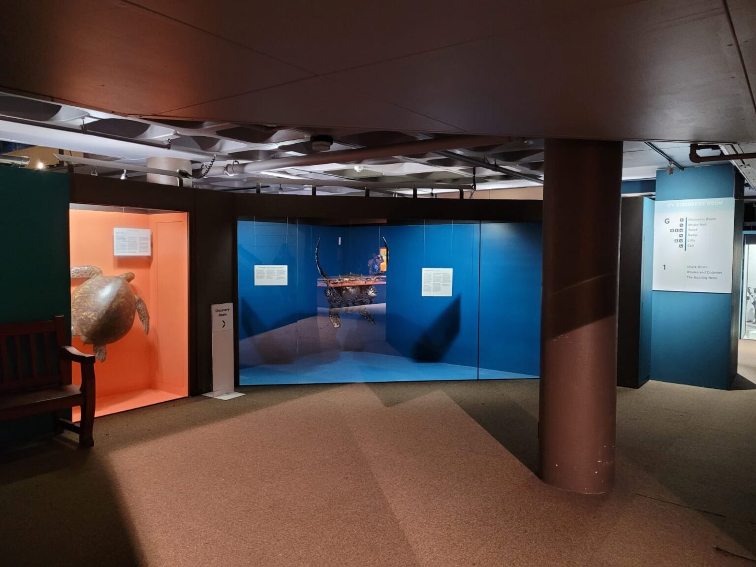 Iziko: South African Museum - Museum Explorer SA