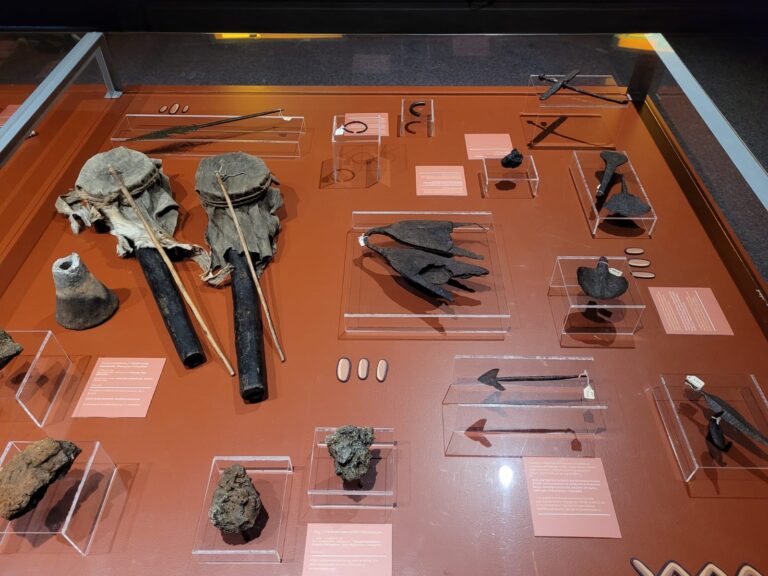 Iziko: South African Museum - Museum Explorer SA