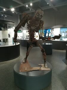 Amazwi South African Museum of Literature - Museum Explorer SA