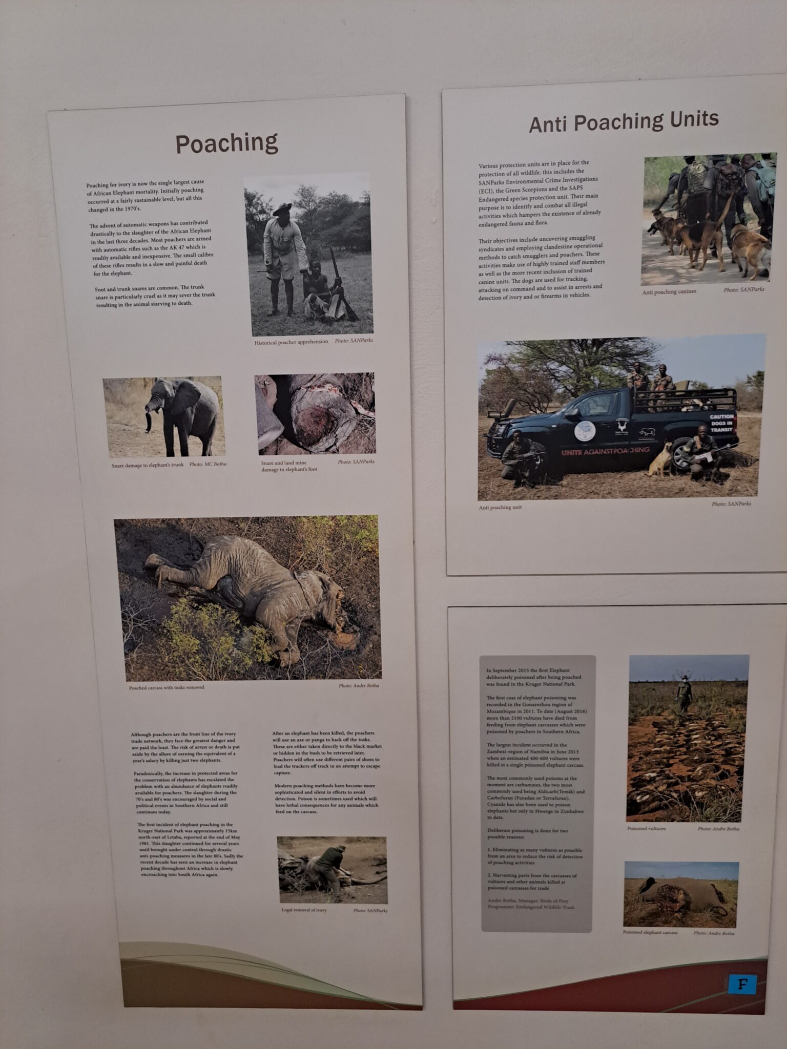 Letaba Elephant Hall - Museum Explorer SA