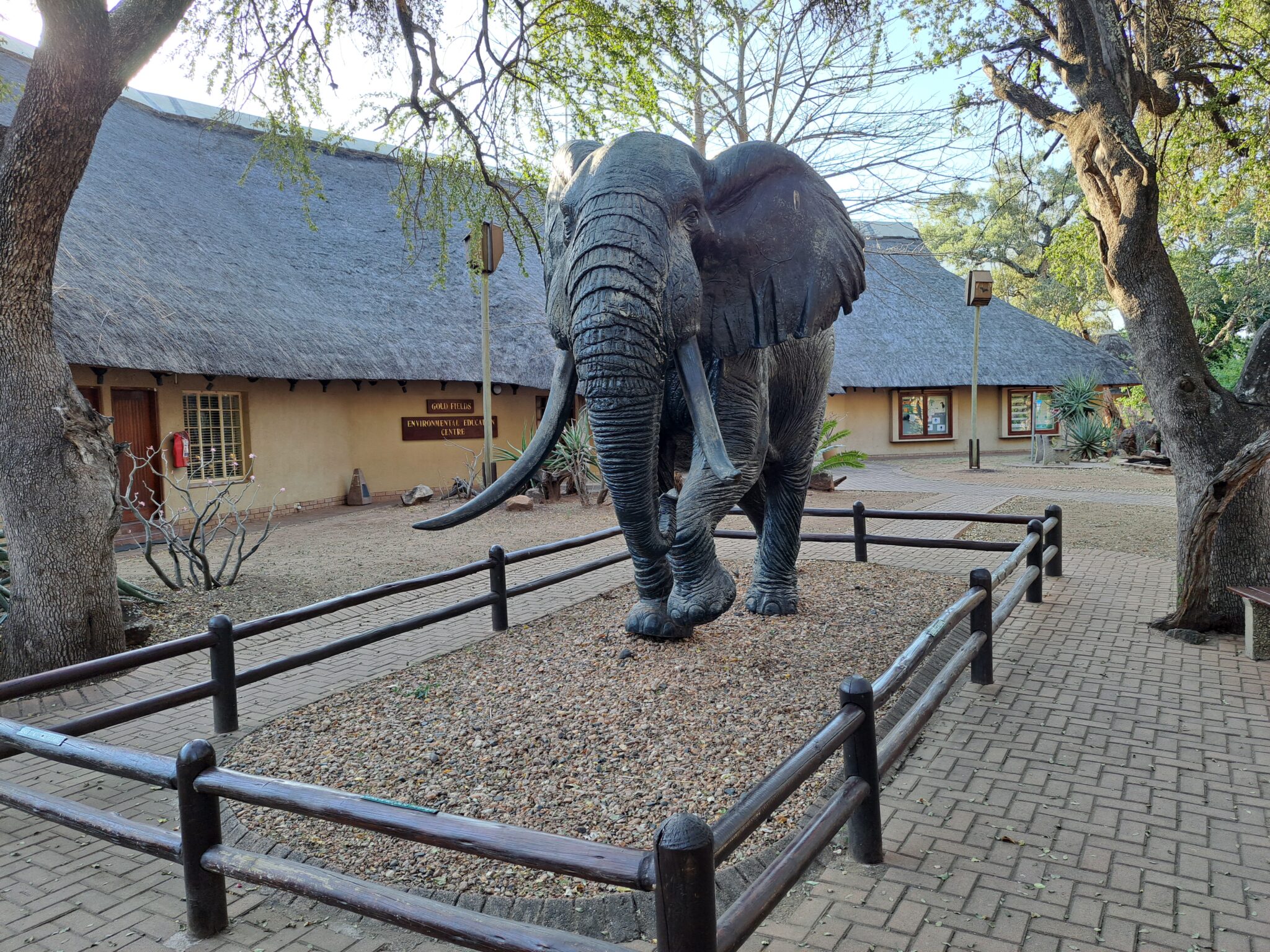 Letaba Elephant Hall - Museum Explorer SA