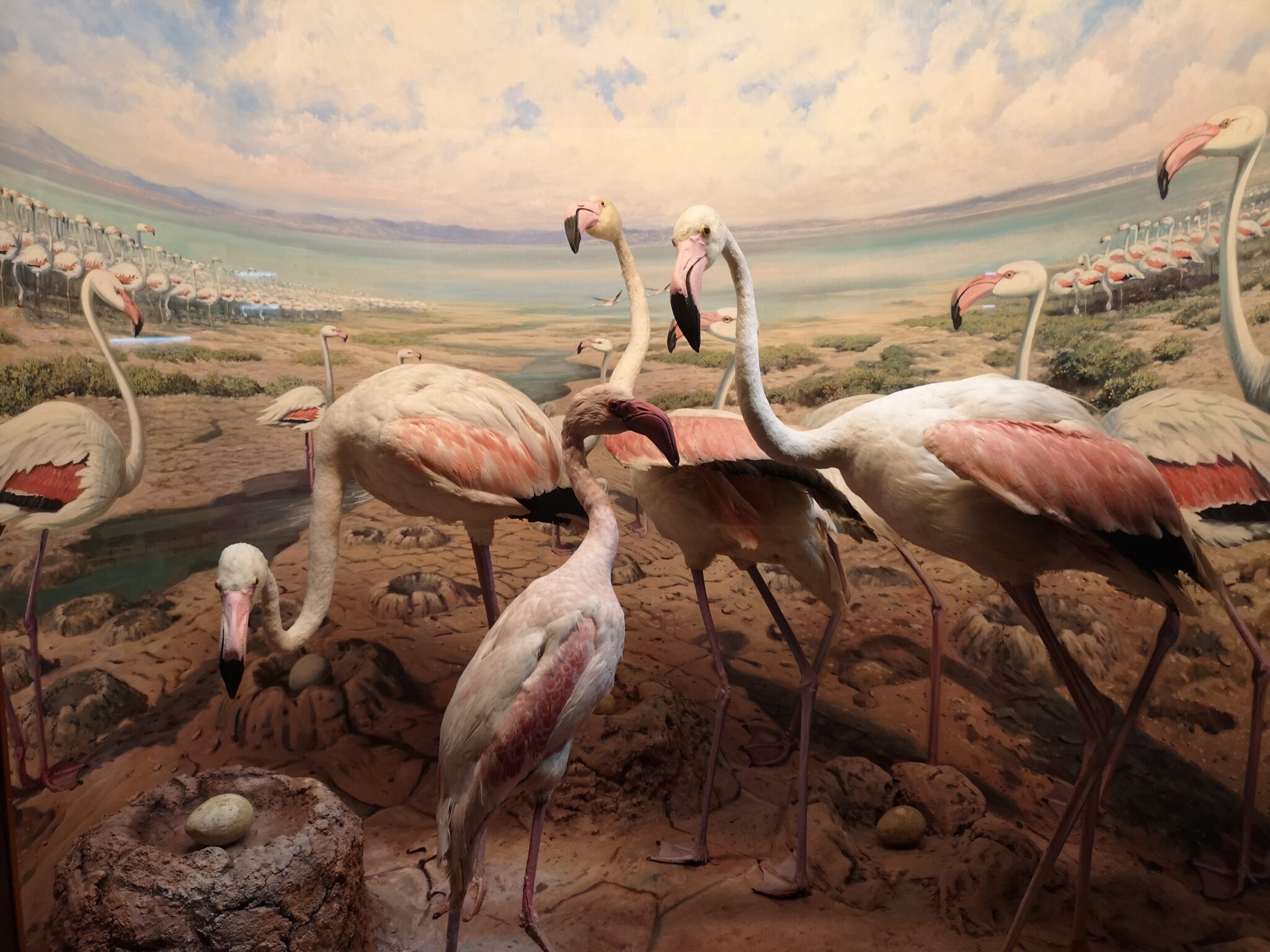 Durban Natural Science Museum - Museum Explorer SA