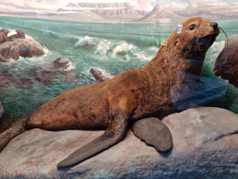 Durban Natural Science Museum - Museum Explorer SA