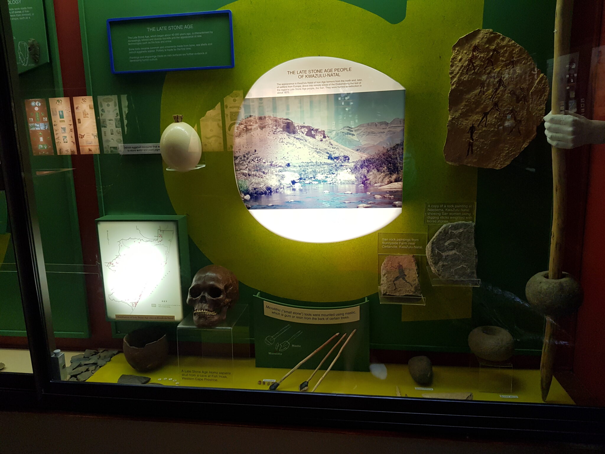 Durban Natural Science Museum - Museum Explorer SA