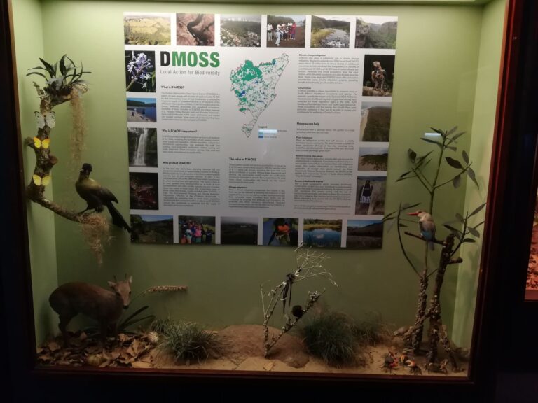 Durban Natural Science Museum - Museum Explorer SA