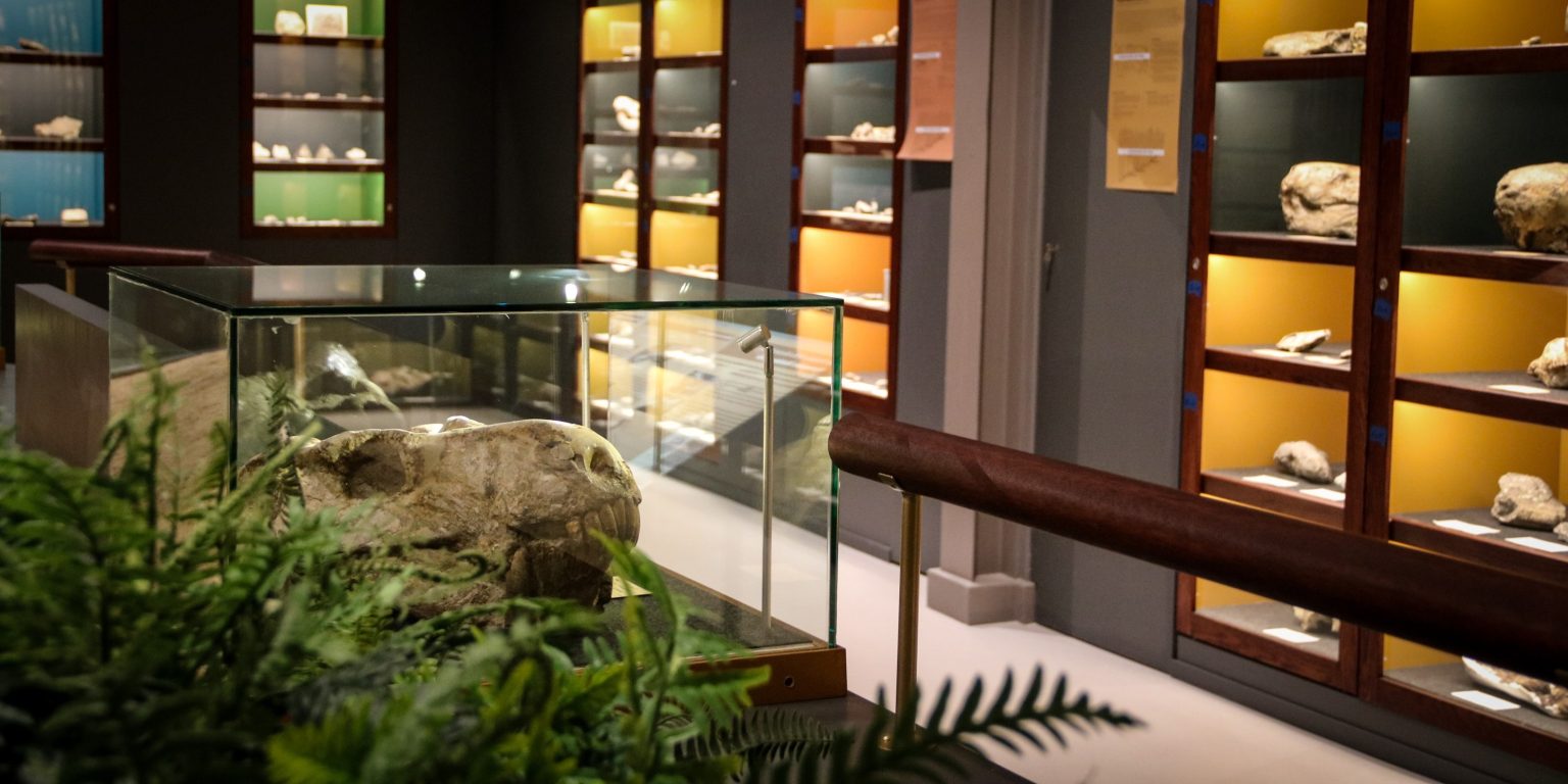 Cape Town Science Centre - Museum Explorer SA